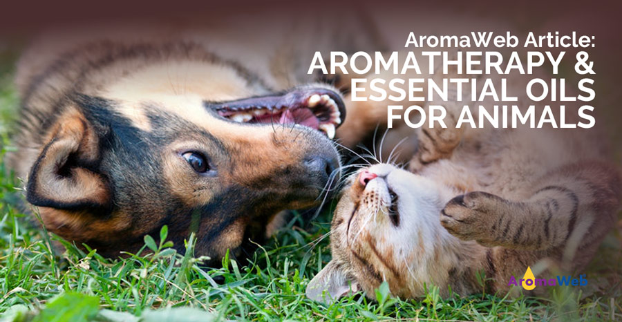 Aromatherapy For Pets | AromaWeb