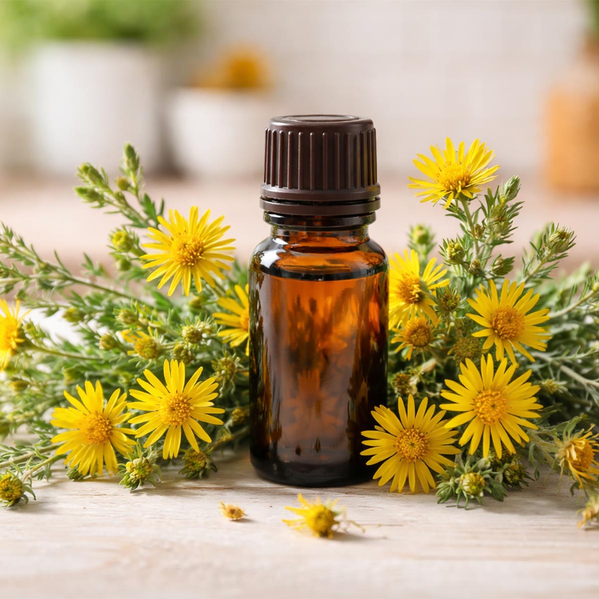 Inula Essential Oil: Benefits, Uses & Insights