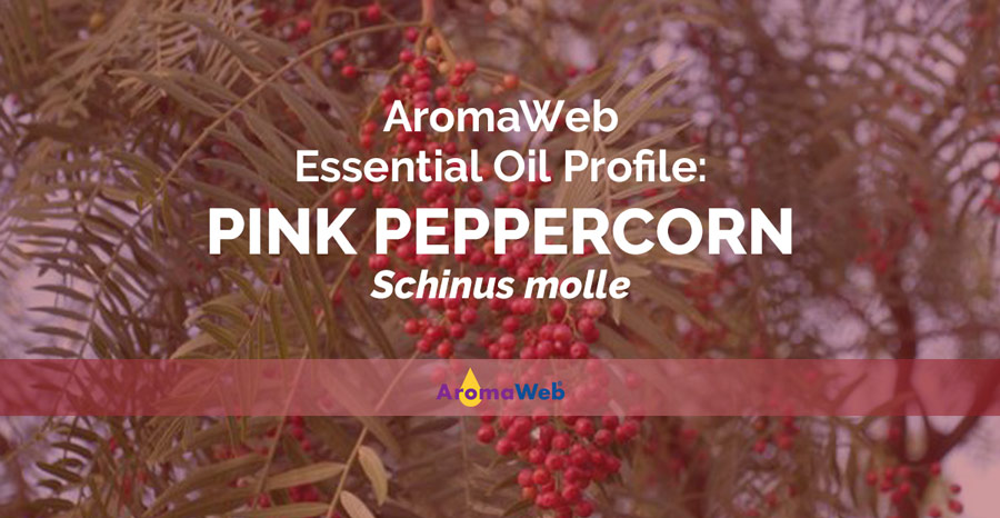 Pink Peppercorn Essential Oil: Benefits, Uses & Insights